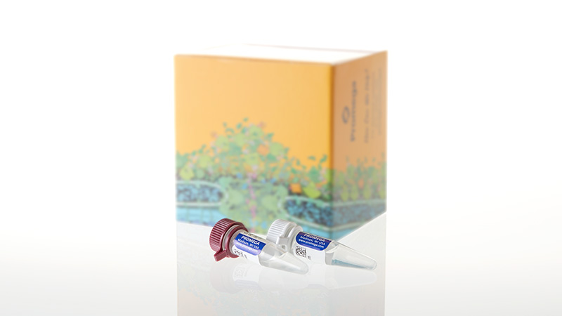 5X AmpSolution™ Reagent, PunchSolution™ Kit and SwabSolution™ Kit
