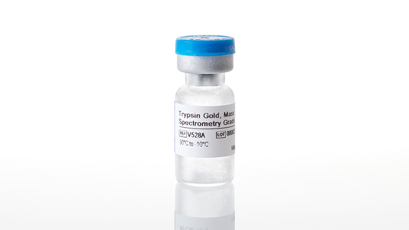 Trypsin Gold, Mass Spectrometry Grade | Trypsin Digestion
